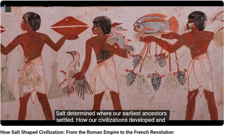 How to Search YouTube Transcripts by 3 Steps