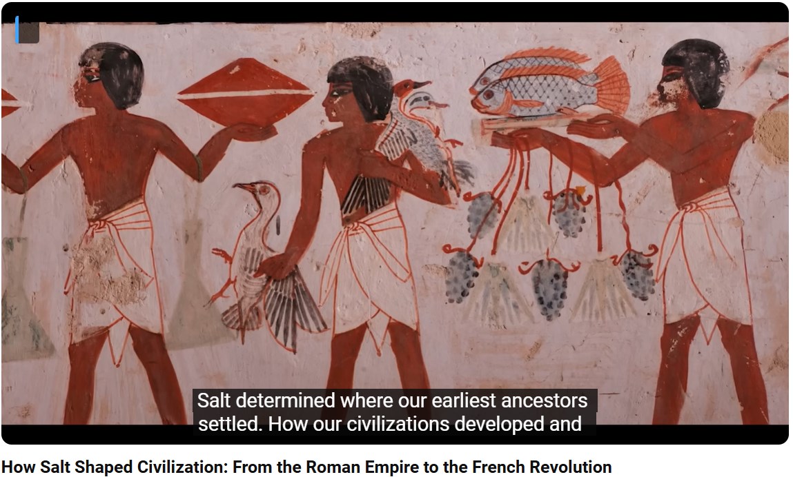 How to Search YouTube Transcripts by 3 Steps