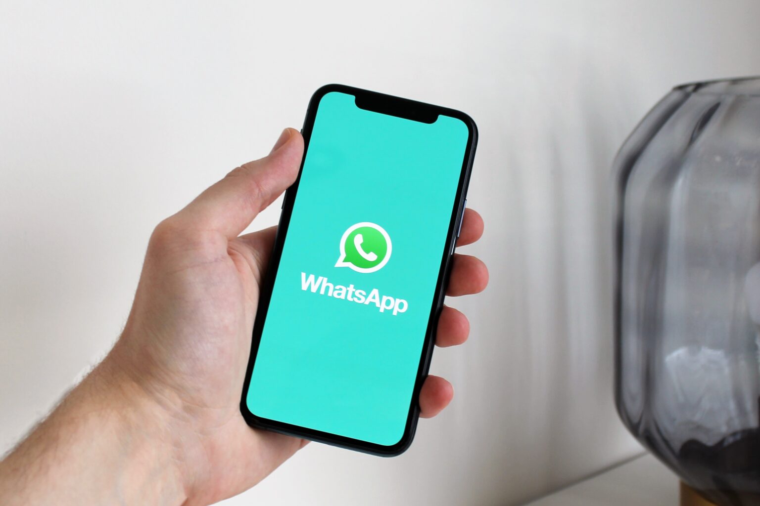 What do the gray and blue check marks in WhatsApp mean?