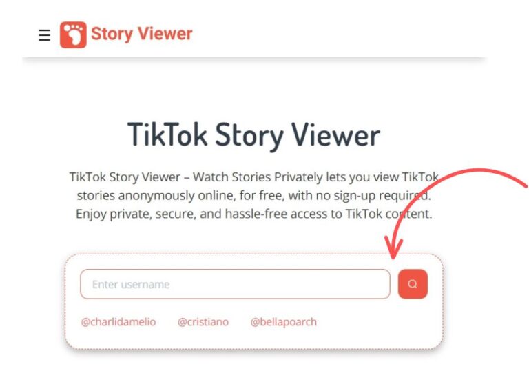 How to View TikTok Story Viewer Anonymous