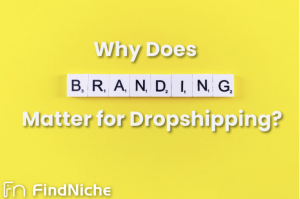 Branded Dropshipping 2022: All-in-one Guide For Beginners
