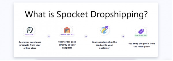 Spocket Dropshipping Reviews [2022]: Features, Pros&Cons, Pricing