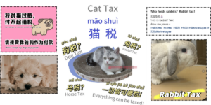 Understanding the "cat tax"