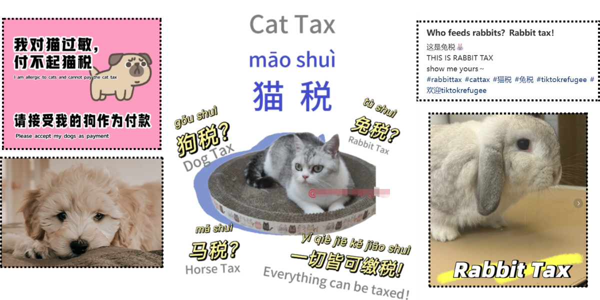 Understanding the "cat tax"