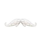 100+ VTuber Assets Free Download