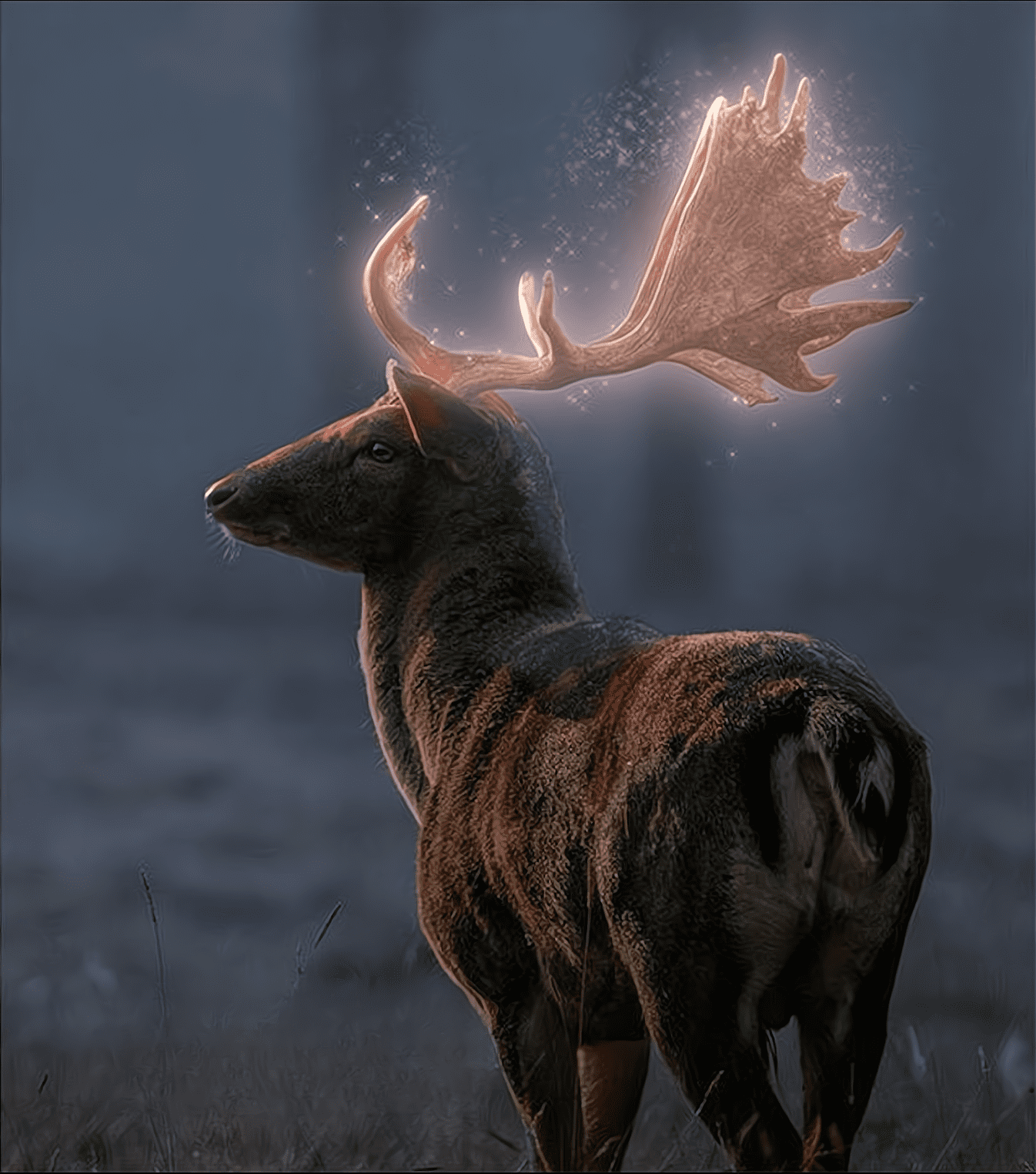 Brighten Your Photo With Lights Overlay