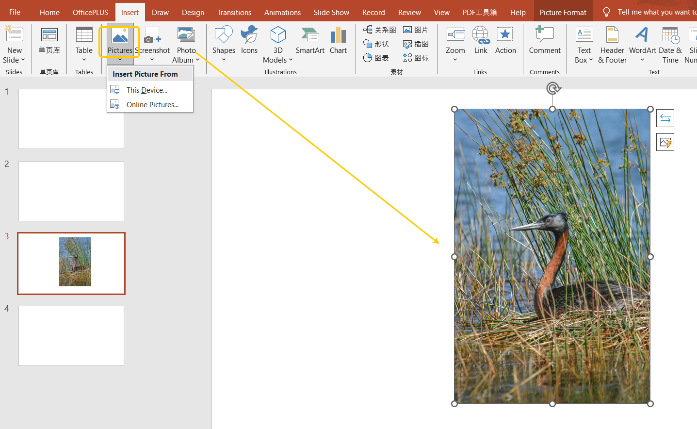 How to Cite Pictures in PowerPoint: Ultimate Methods & Examples-2025