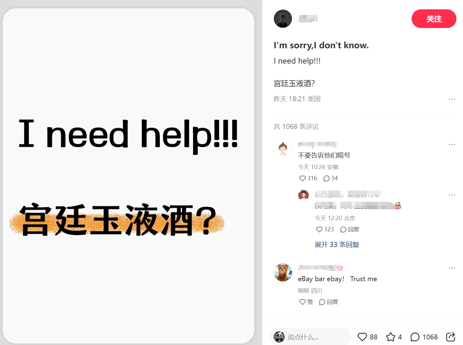 Rednote Translate:Essential Guide for Global Users on Rednote